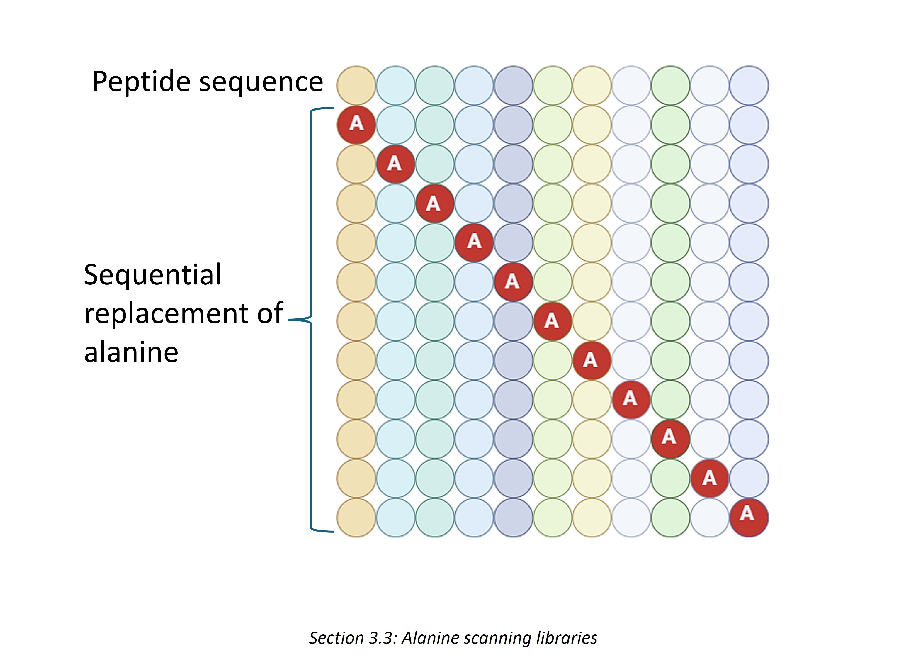 Synthetic Peptide Libraries: Unlocking New Possibilities in ...